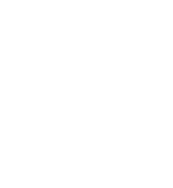 ECS Seychelles - Courier, Cargo & Freight Forwarding